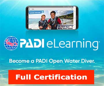 PADI SCUBA Lessons • eLearning & Classroom available • NITROX