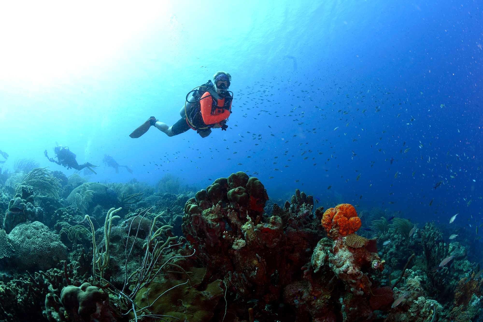 Bonaire Scuba Diving Group Trip • Scuba Nashville • Parrot Island Divers